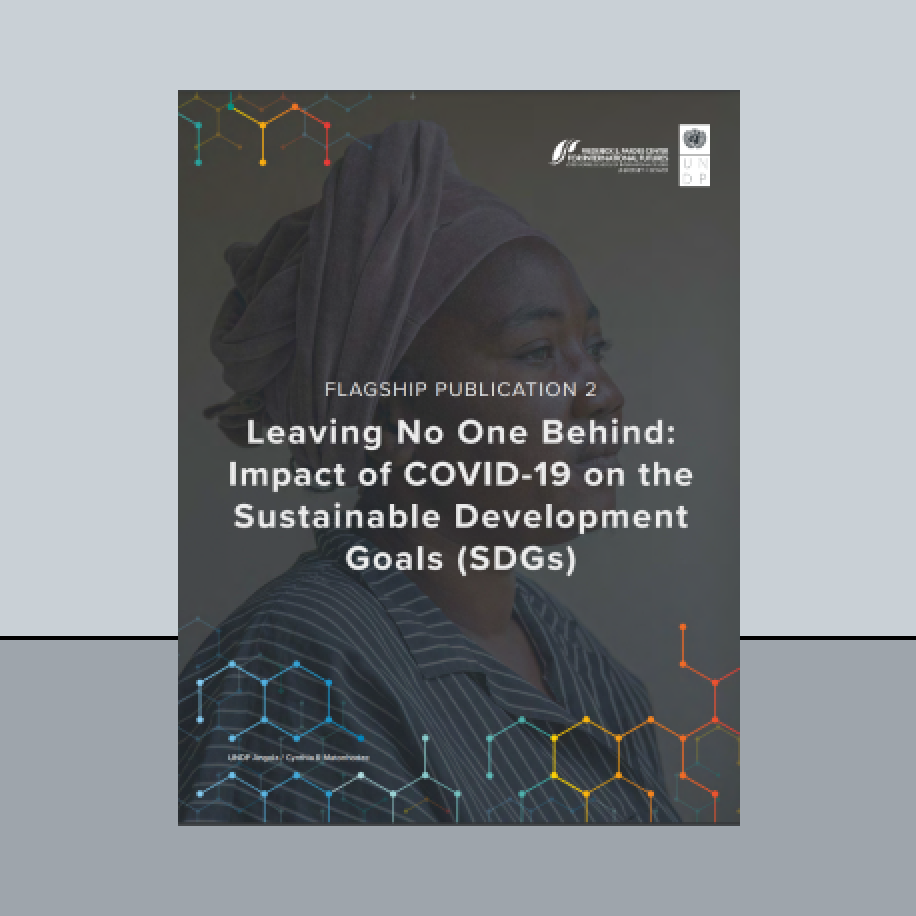 UNDP Data Platform SDG Accelerator